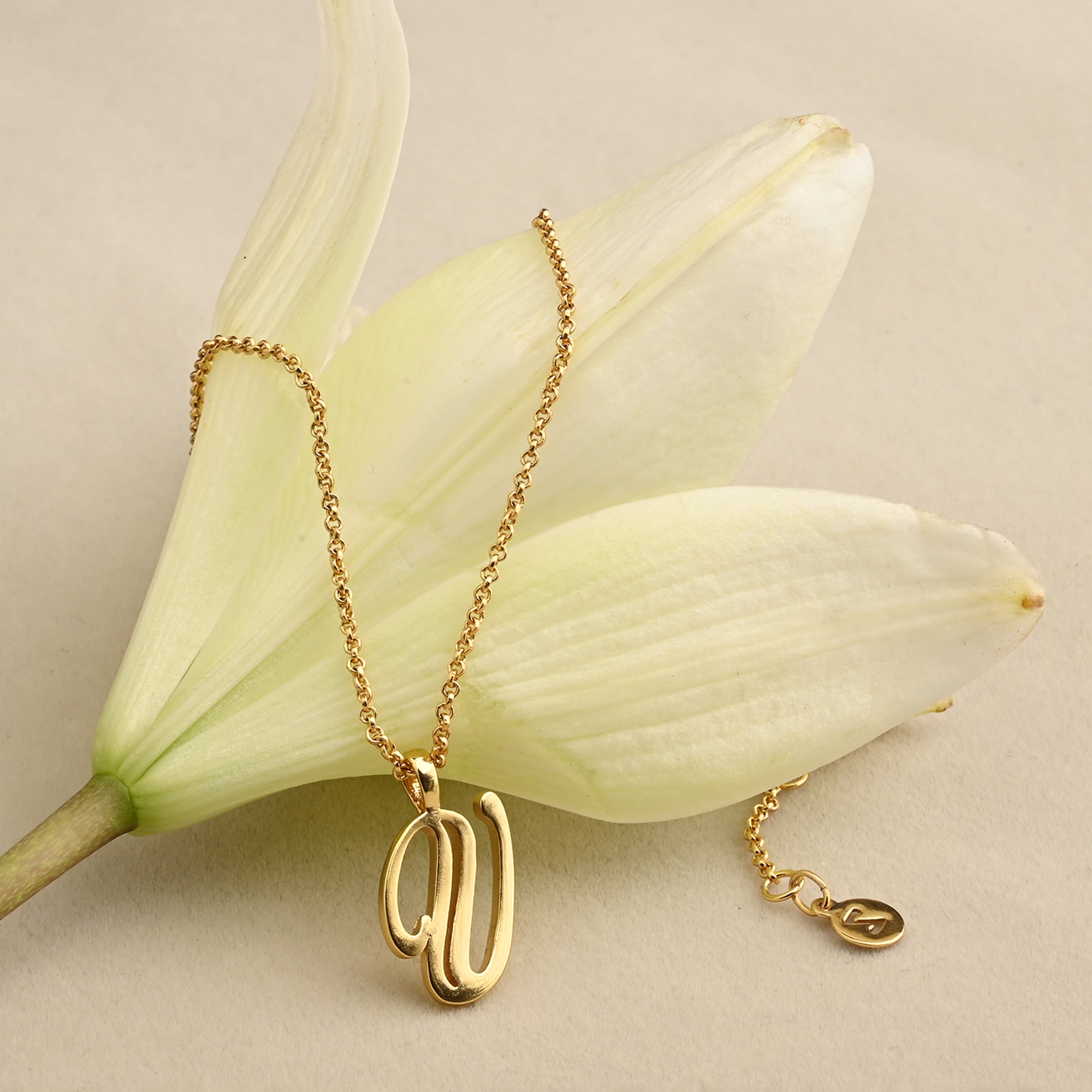 Buy Gold Plated V Initial Pendent Necklace Online